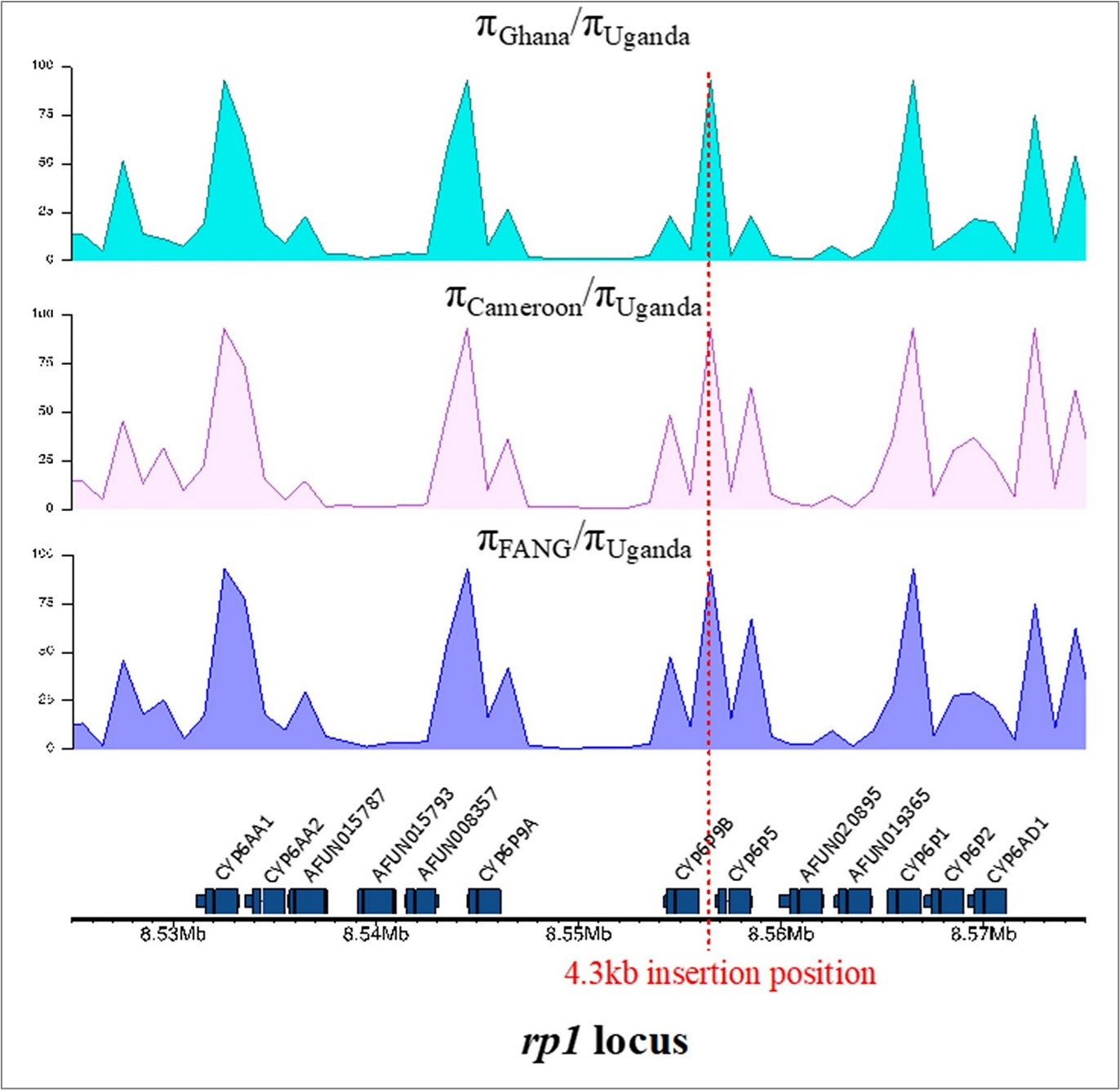 PUBLICATION: Association of a rapidly selected 4.3kb transposon ...